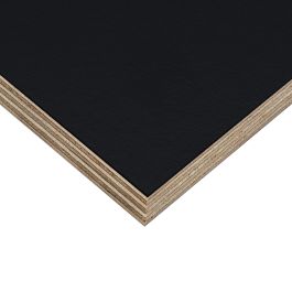 9mm High Quality Birch Wood Panels with Black HPL Coating and Black Backing